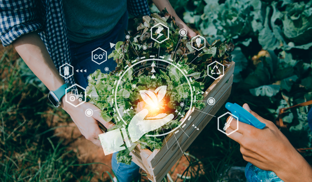 Los cultivos sostenibles arraigan en la era digital | Liste Maquinaria